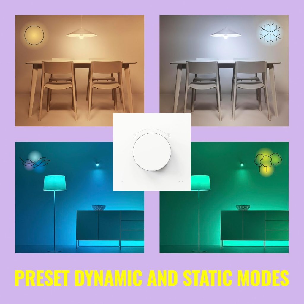 Công tắc không dây Philips WiZ Smart Dial Switch - Gu Công Nghệ